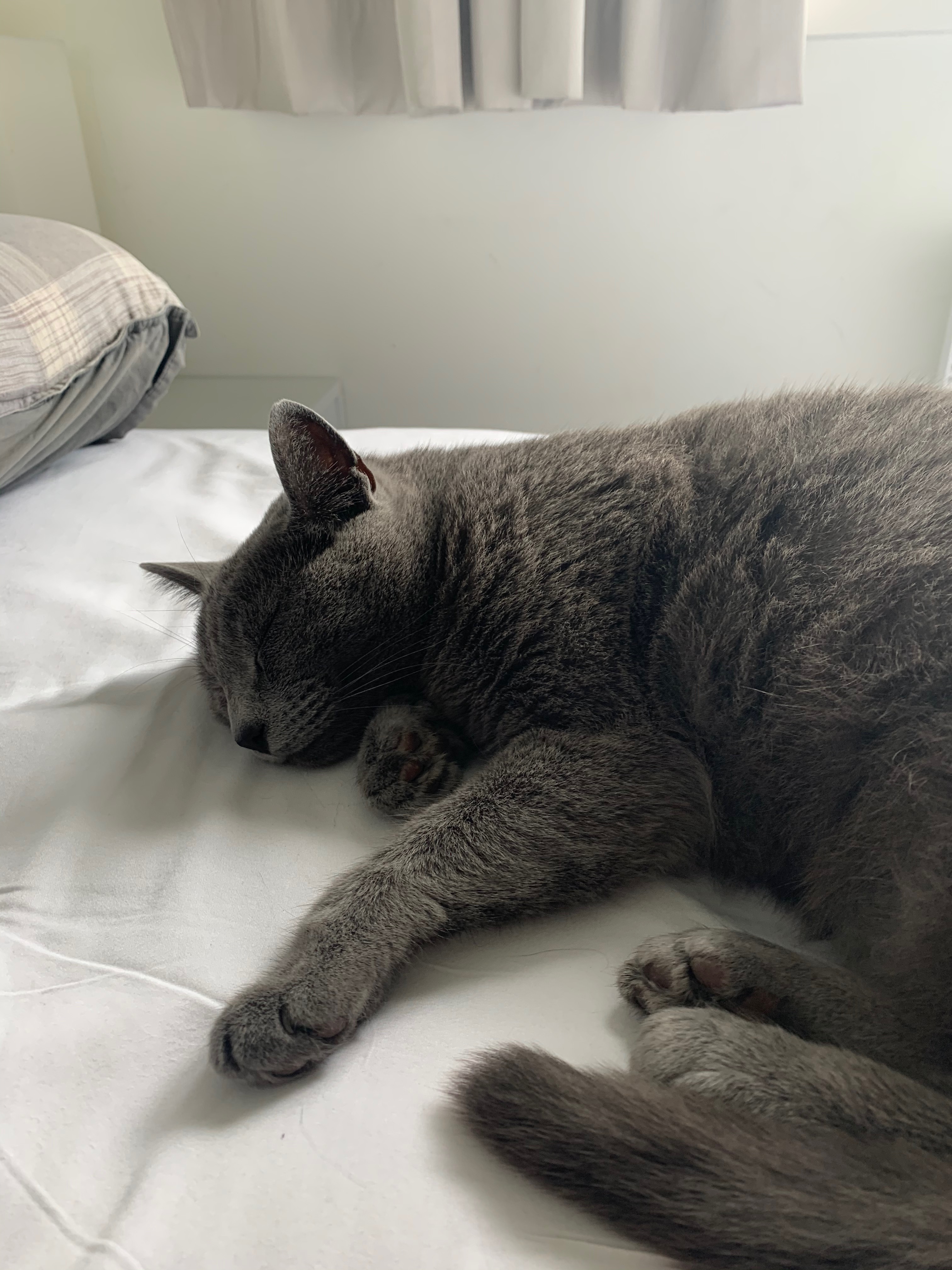 Welcome to my hideout